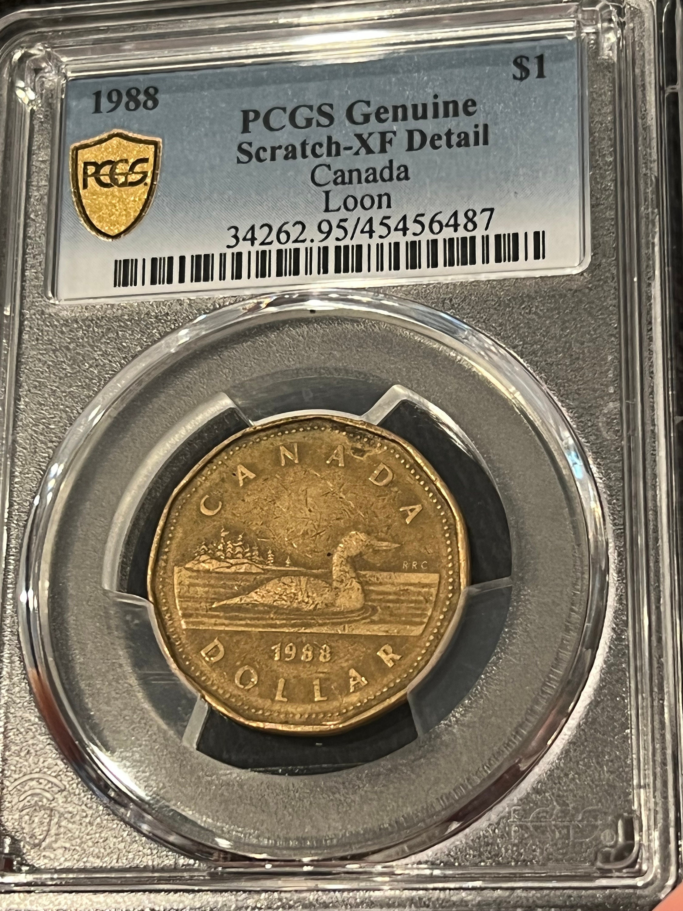 RARE 1988 1 Dollar Canada Loon COIN - Etsy