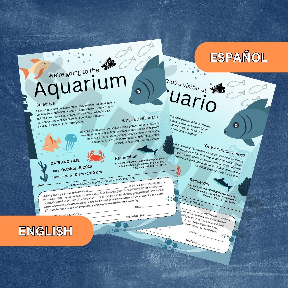 Bilingual Field Trip Museum Slip Permit Template, Permiso De Excursión ...