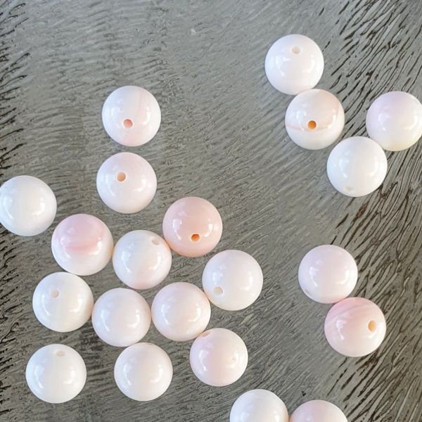 Conch Shell Beads - Etsy