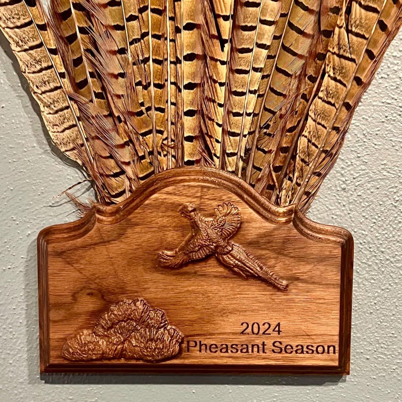 Large Pheasant Tail Mount - Etsy
