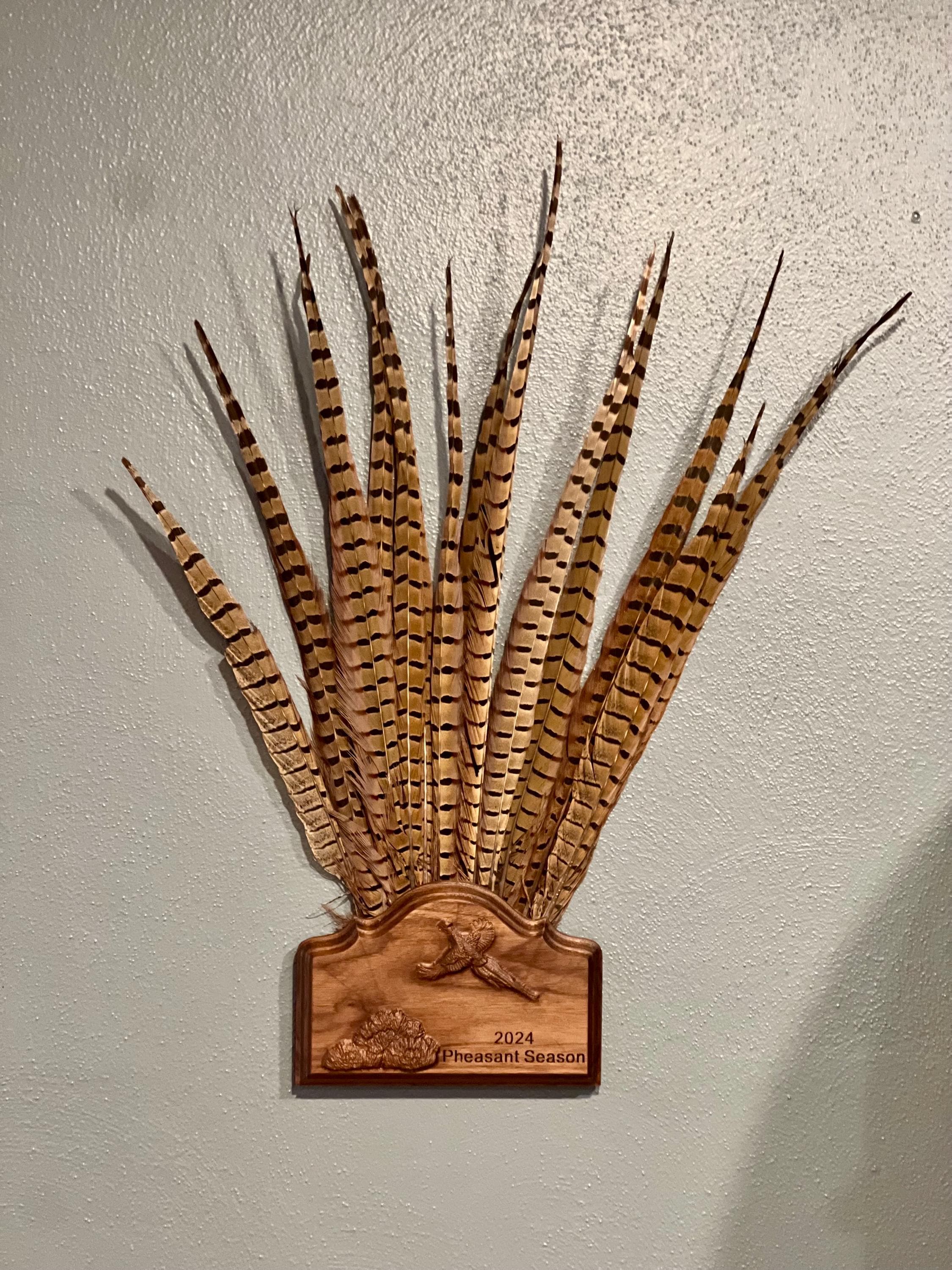 Large Pheasant Tail Mount - Etsy