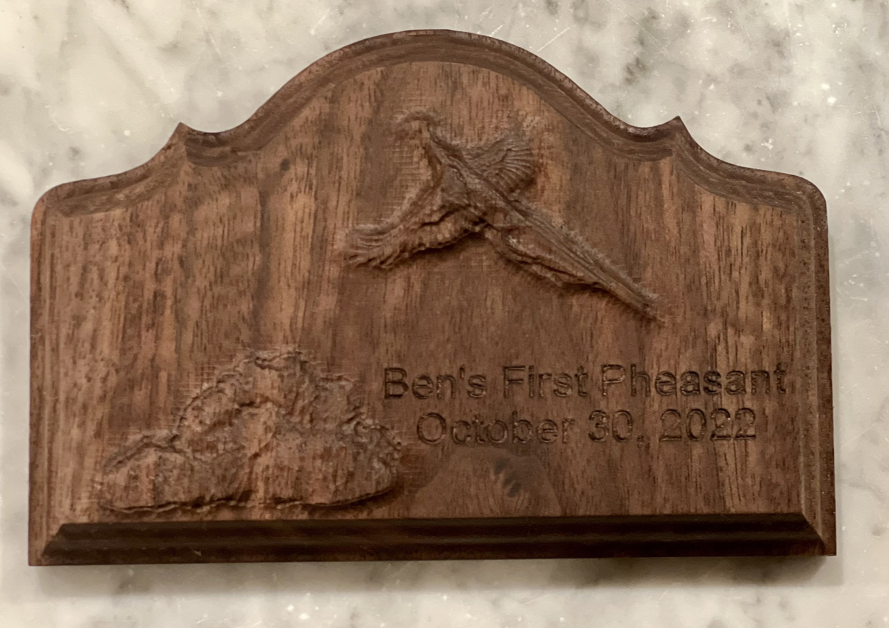 Pheasant Tail Mount - Etsy