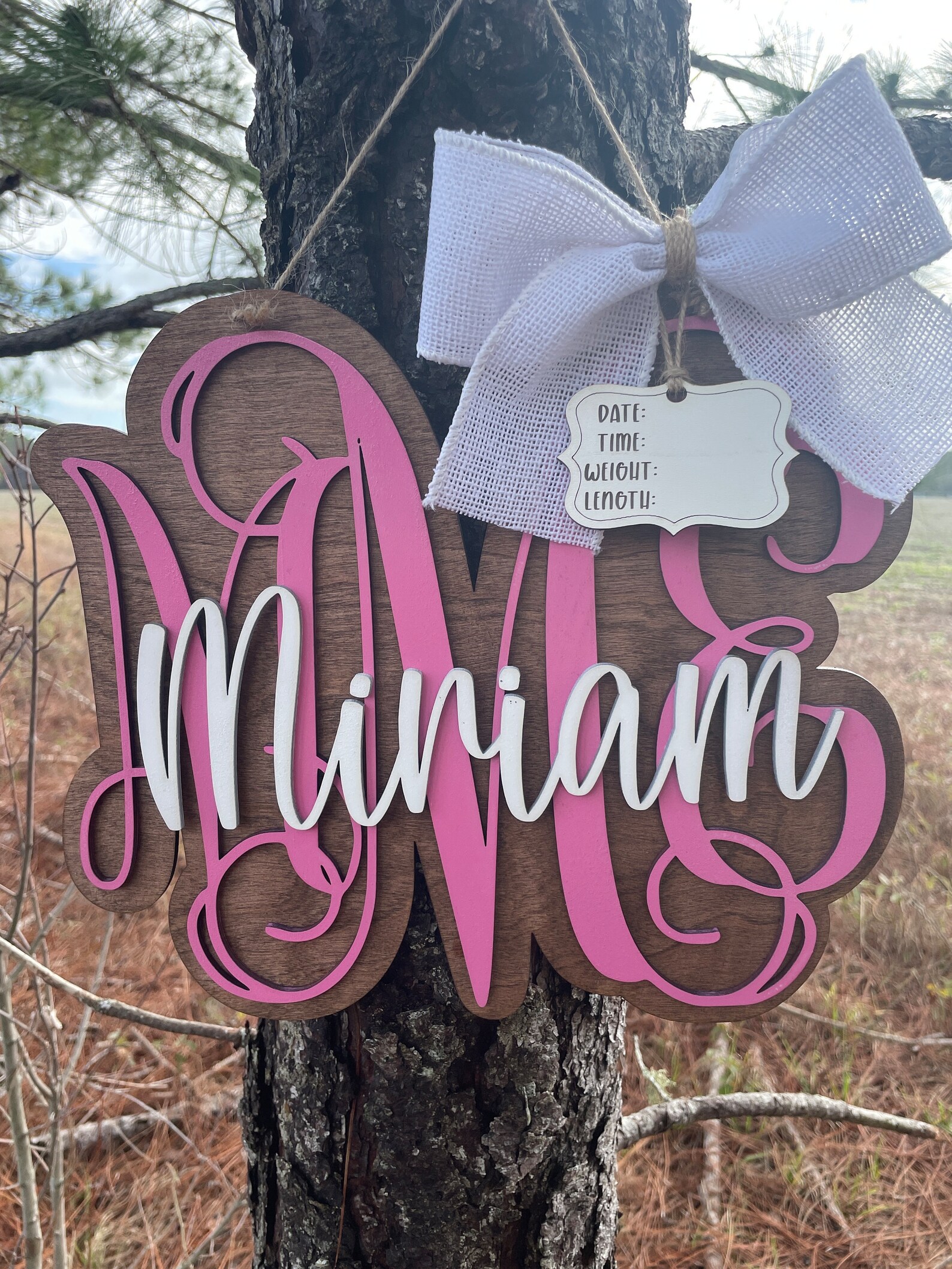 Monogram Baby Birth Stats Crib Nursery Sign, Hospital, Photo Prop ...