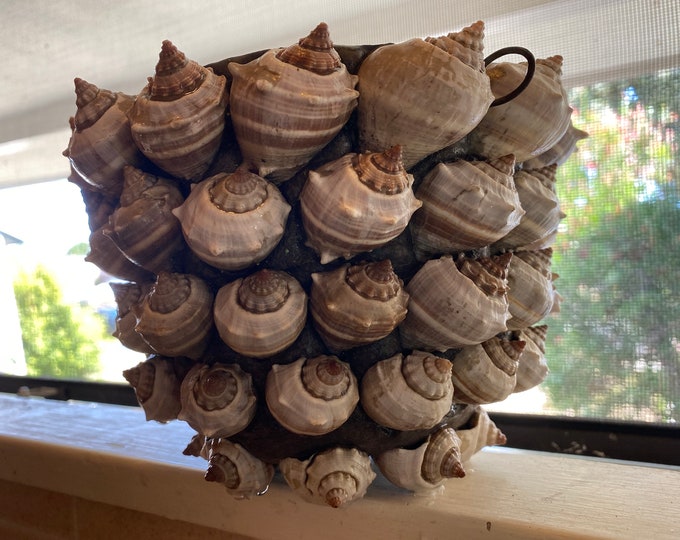 Funky 1970s Snail Shell Flower Pot - Etsy