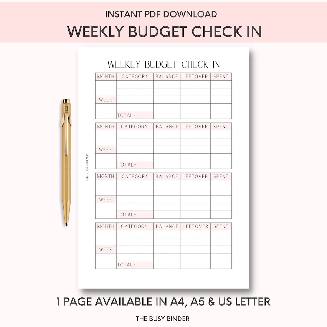 Digital Download Print at Home weekly Budget Check-in Planner Page ...