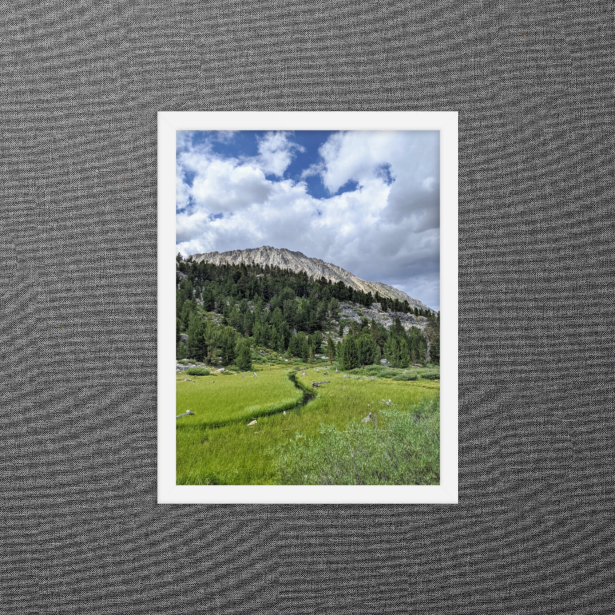 Meadow Stream Photo - Etsy