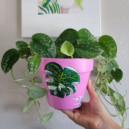 Variegated Monstera Leaf Terracotta Pot Hand Painted Indoor - Etsy