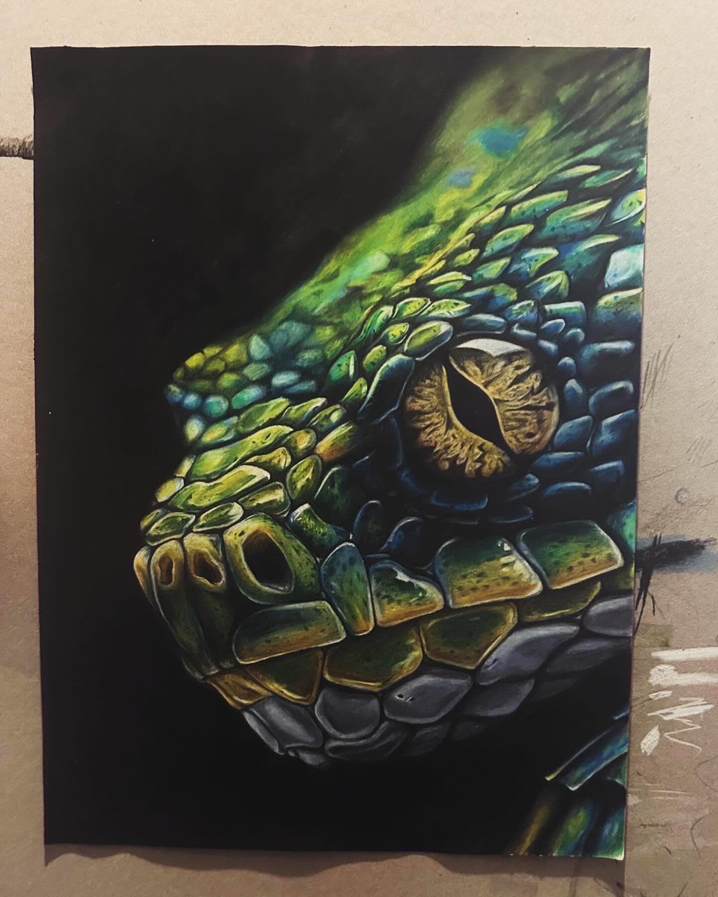 Snake - Coloured Pencil Drawing on Paper - Etsy