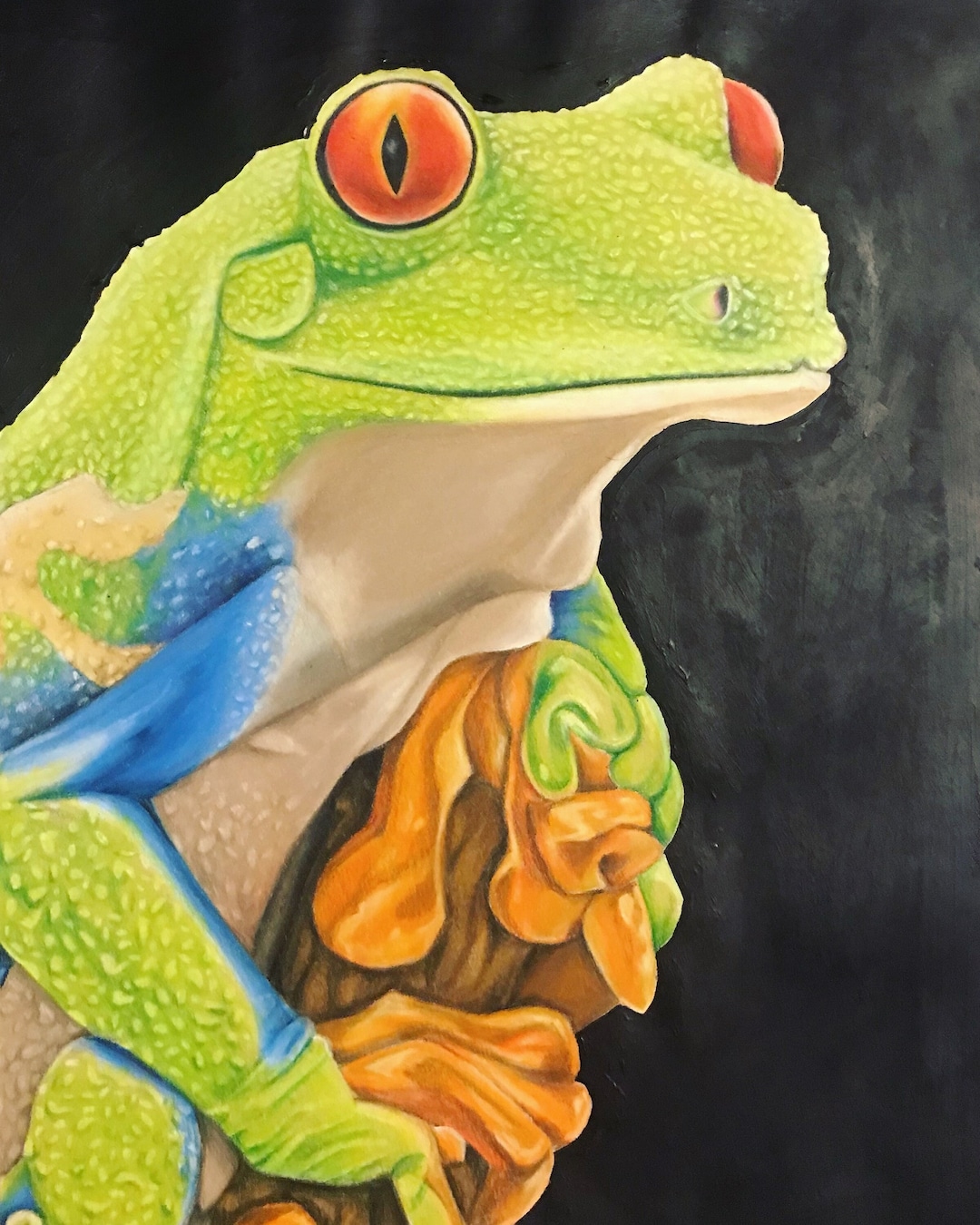 Tree Frog - Coloured Pencil Drawing on Paper - Etsy