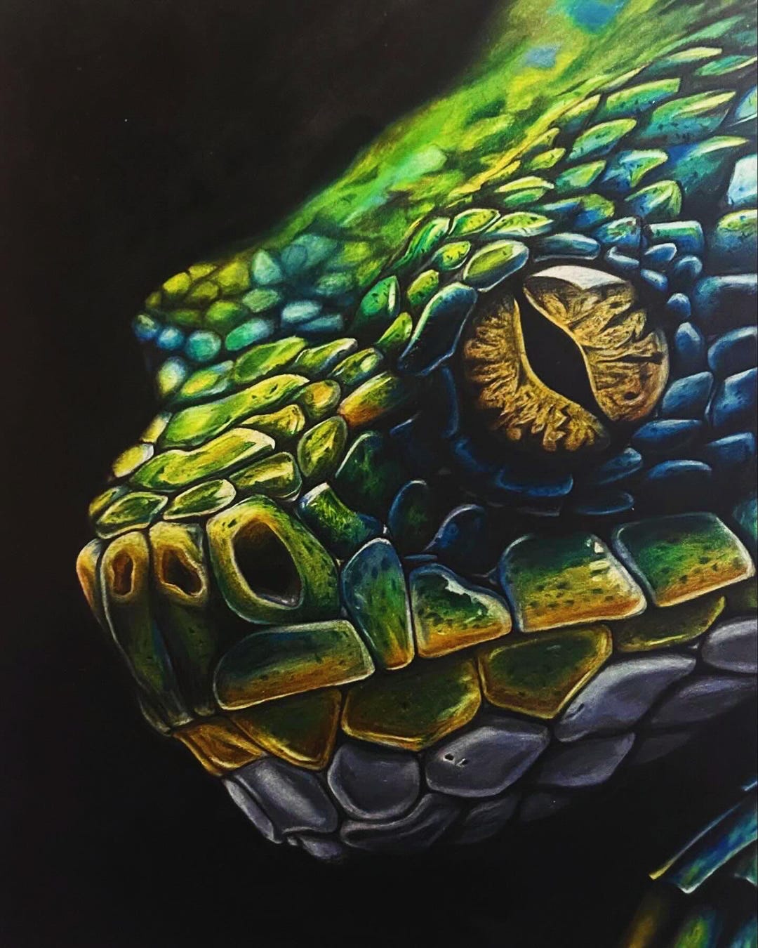 Snake Print - Etsy