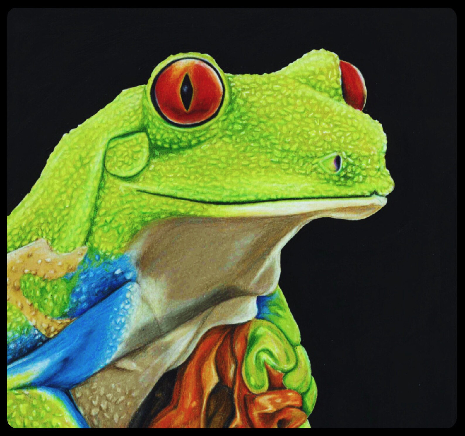 Tree Frog Print - Etsy