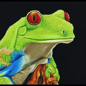 Tree Frog Print - Etsy