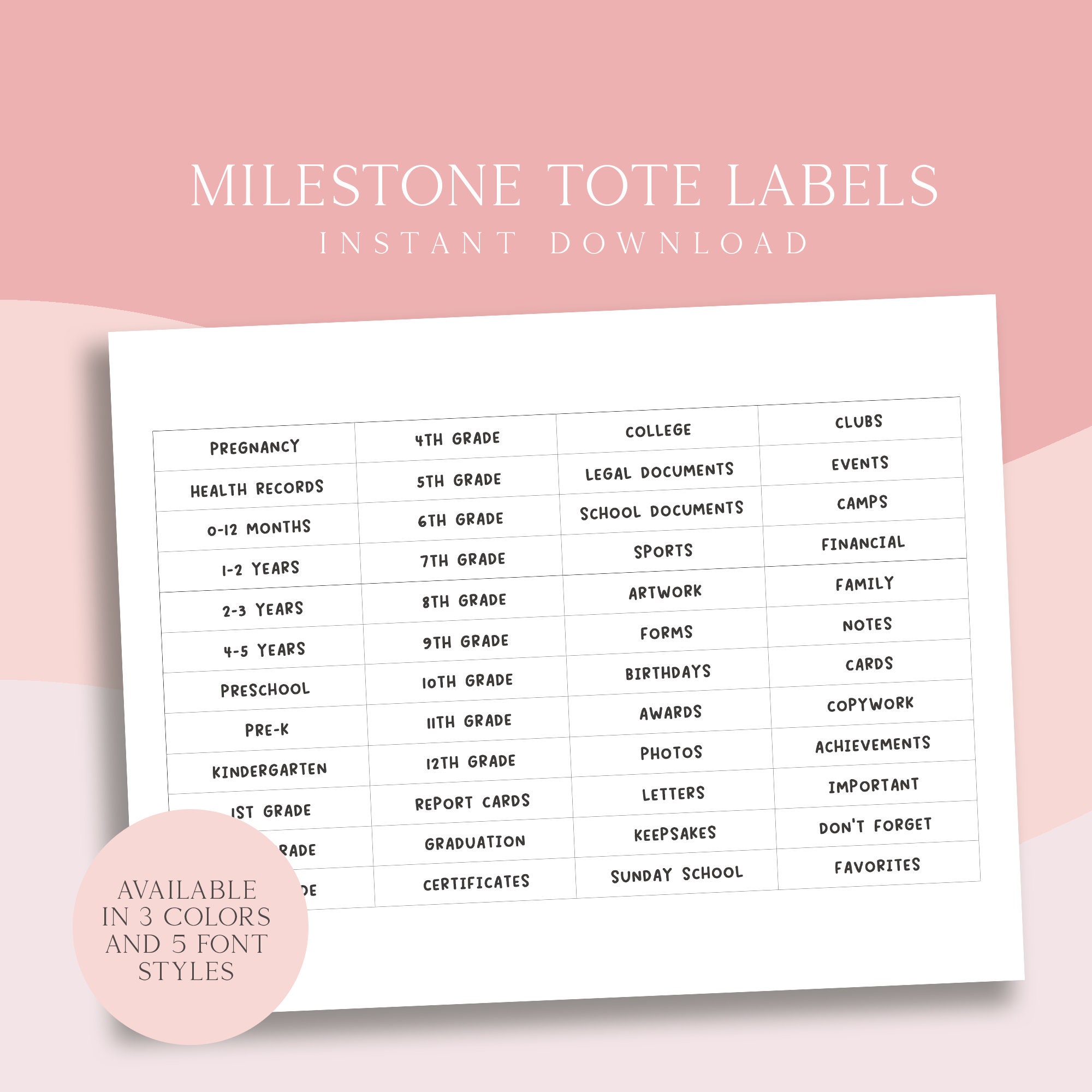 Milestone Tote Labels, Kids Memory Box, Keepsakes Box, File Labels, DIY ...