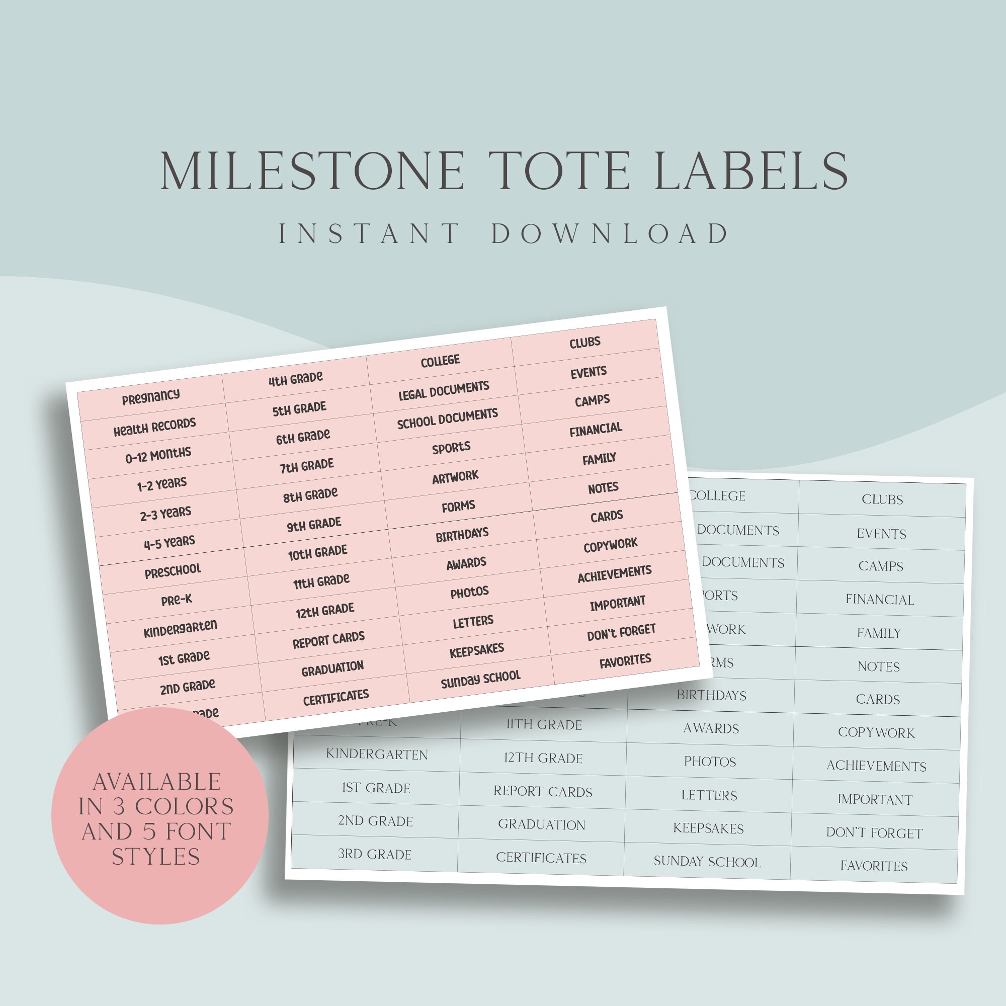 Milestone Tote Labels, Kids Memory Box, Keepsakes Box, File Labels, DIY ...