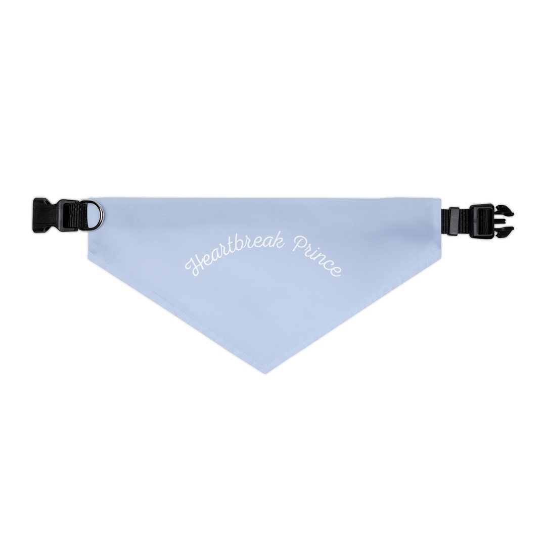 Taylor Swift Pet Bandana Collar Inspired by Miss Americana and the ...