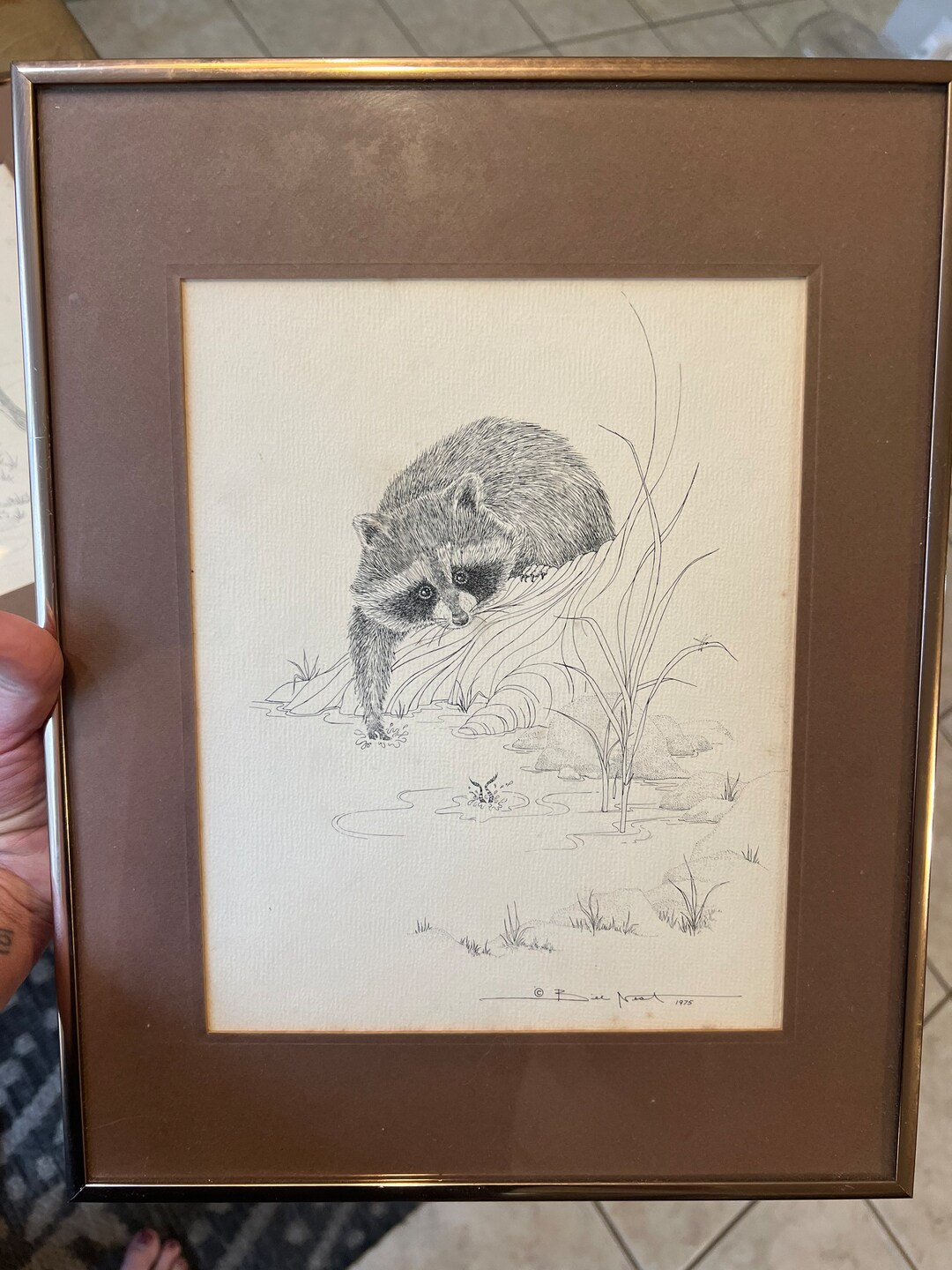 Bill Neat Vintage Raccoon Print 1975 - Etsy