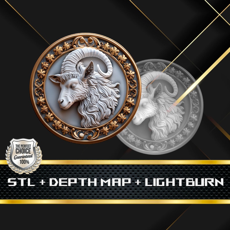 Coin Depth Map Heigh Map 3D Laser Engrave Xtool Glowforge Stl File PNG ...