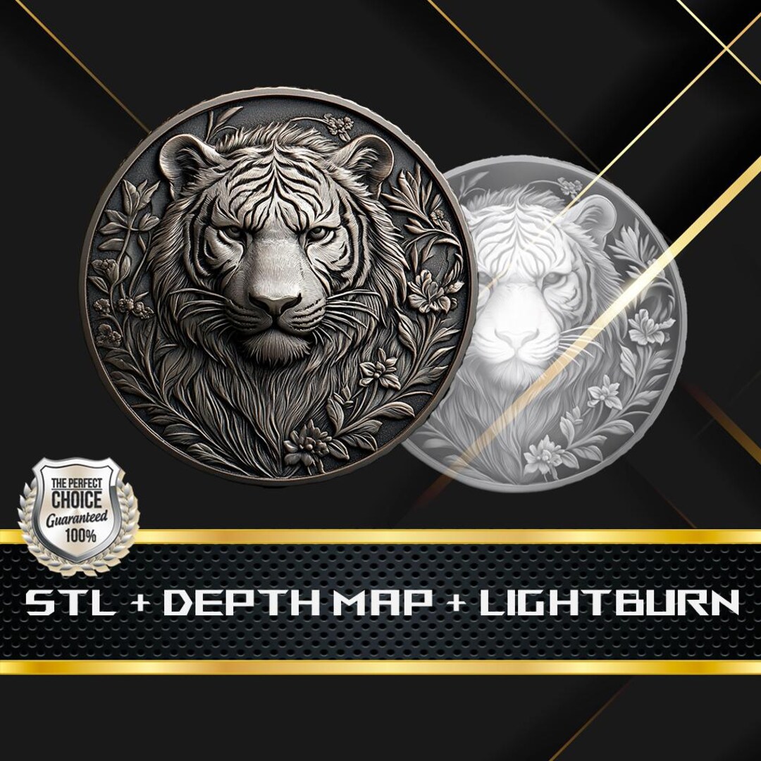 Coin Depth Map | Heigh Map | 3D Laser Engrave | Stl File | PNG File ...