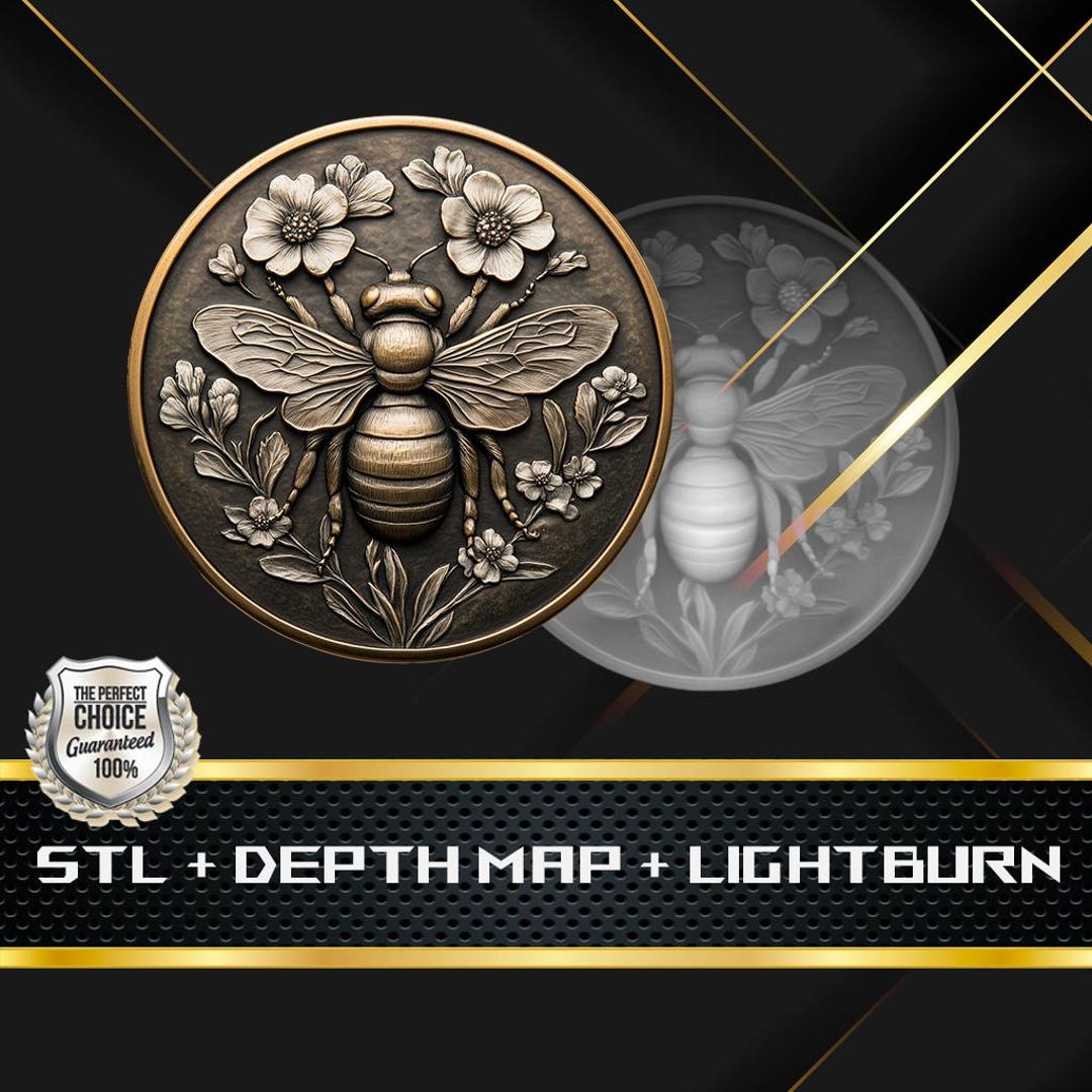 Coin Depth Map | Heigh Map | 3D Laser Engrave | Xtool | Stl File | PNG ...