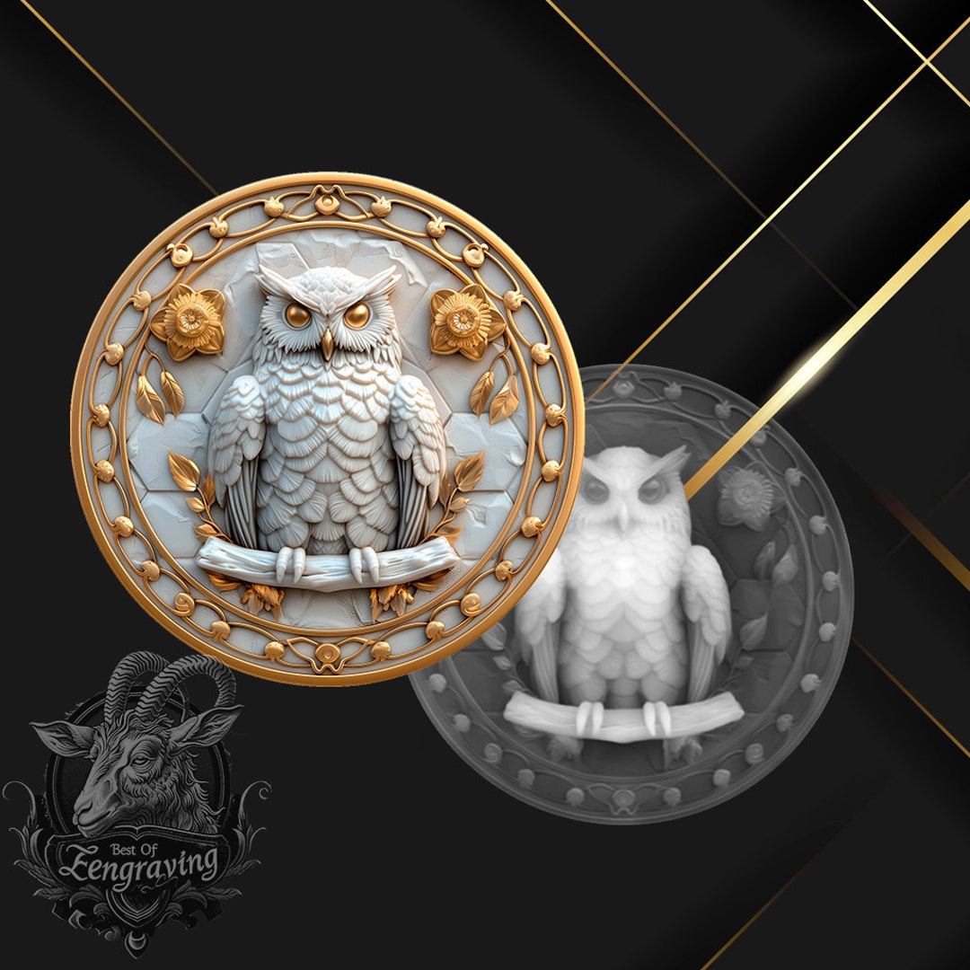 Coin Depth Map Heigh Map 3D Laser Engrave Xtool Glowforge Stl File PNG ...