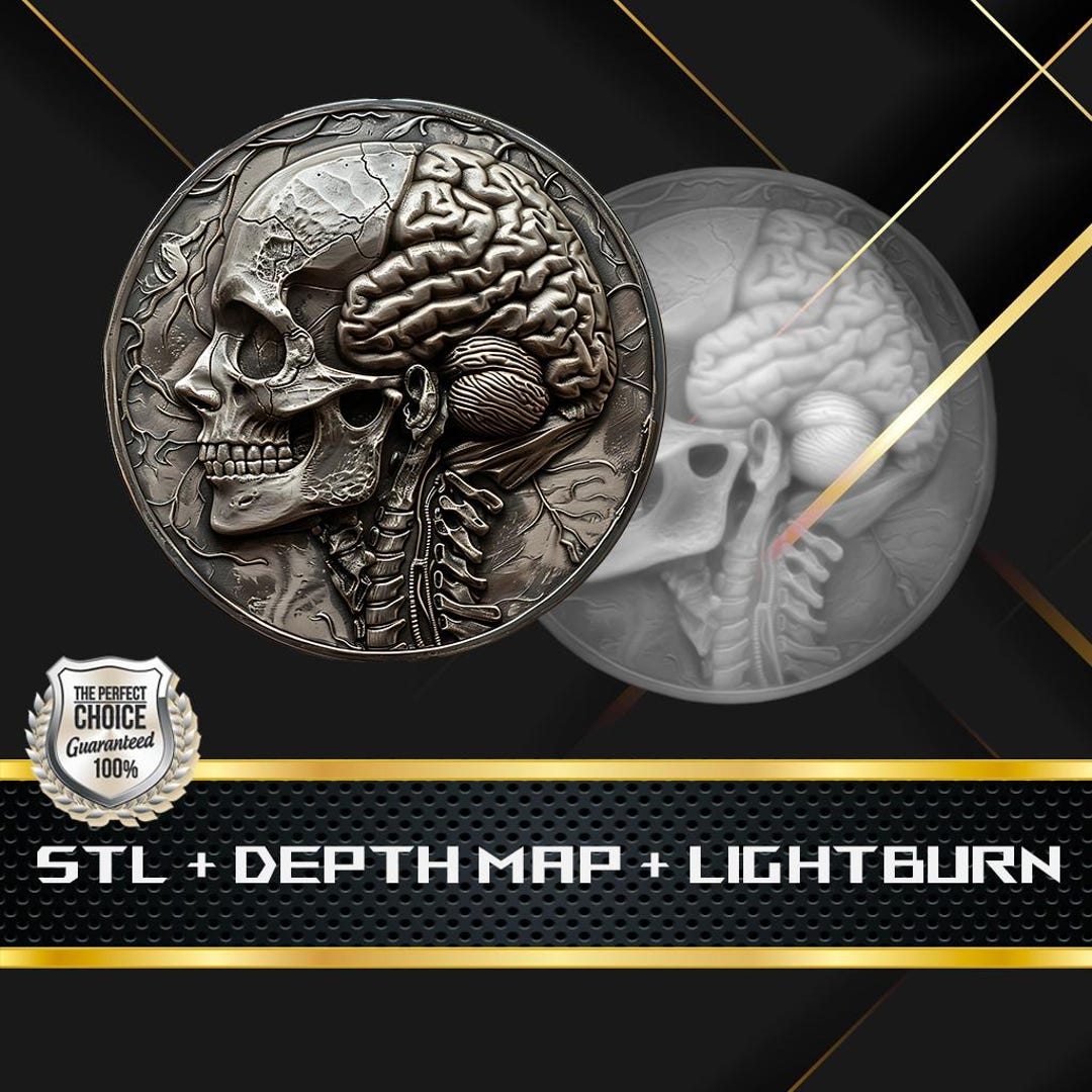 Human Skull | Coin Depth Map | Heigh Map | 3D Laser Engrave | Xtool ...