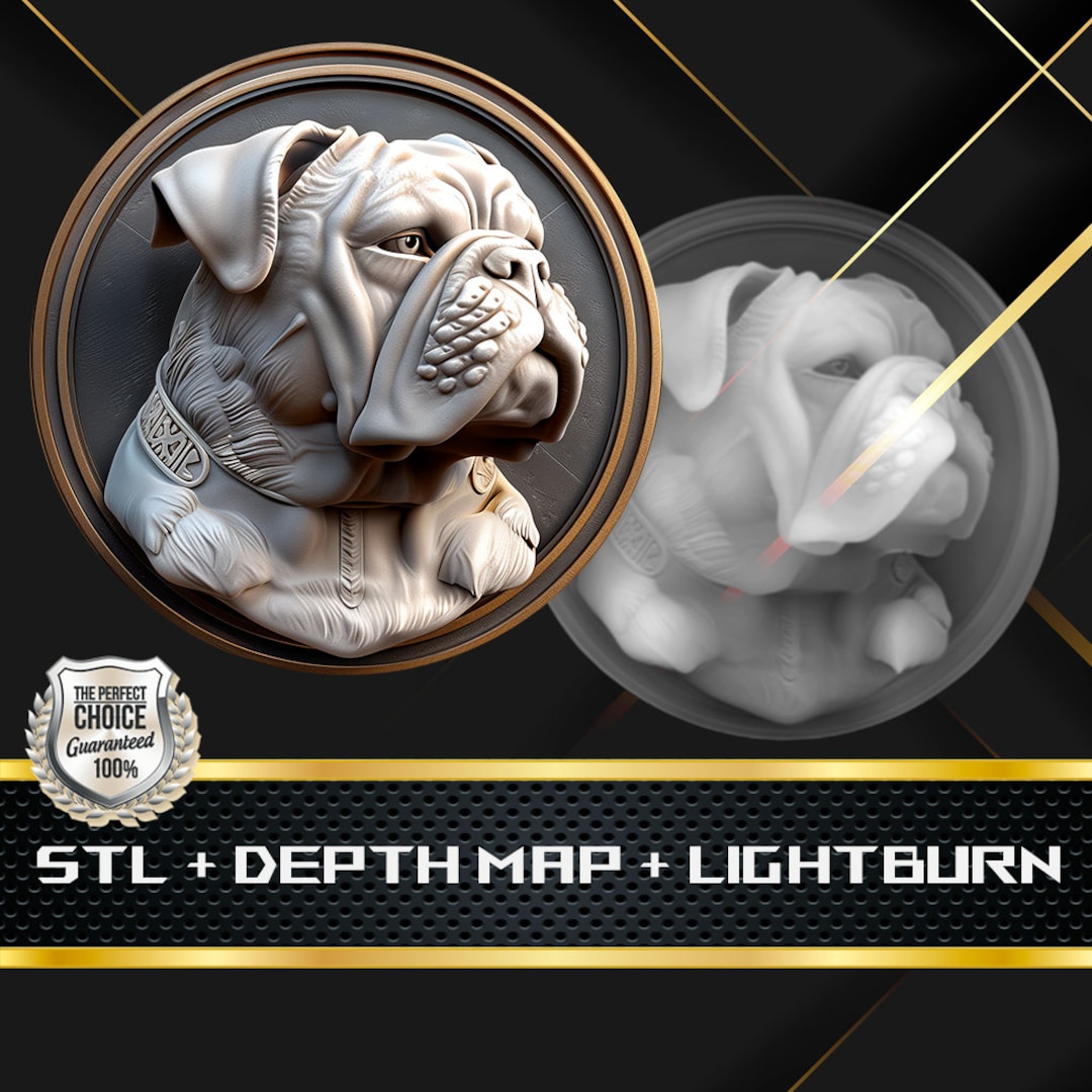 Coin Depth Map | Heigh Map | 3D Laser Engrave | Xtool | Stl File | PNG ...