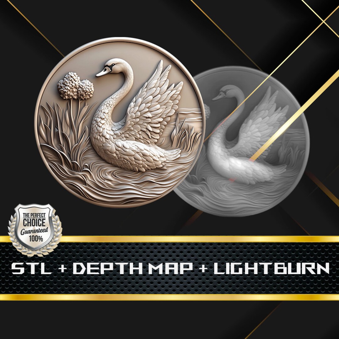 Coin Depth Map | Heigh Map | 3D Laser Engrave | Xtool | Stl File | PNG ...