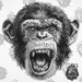 3D Monkey Illusion: Laser Engraving PNG File (digital Download) Diode ...