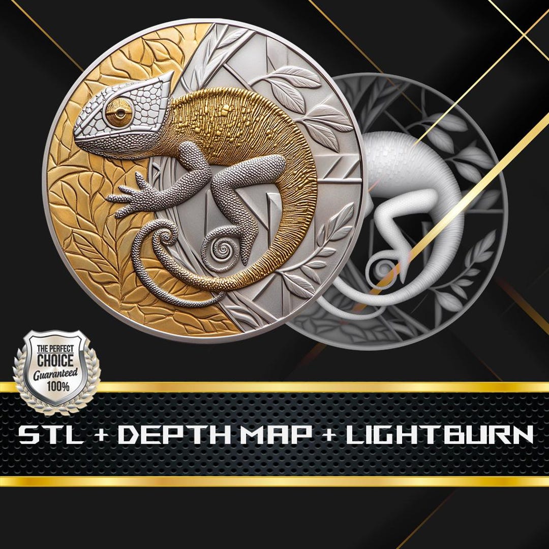 Coin Depth Map | Heigh Map | 3D Laser Engrave | Xtool | Stl File | PNG ...