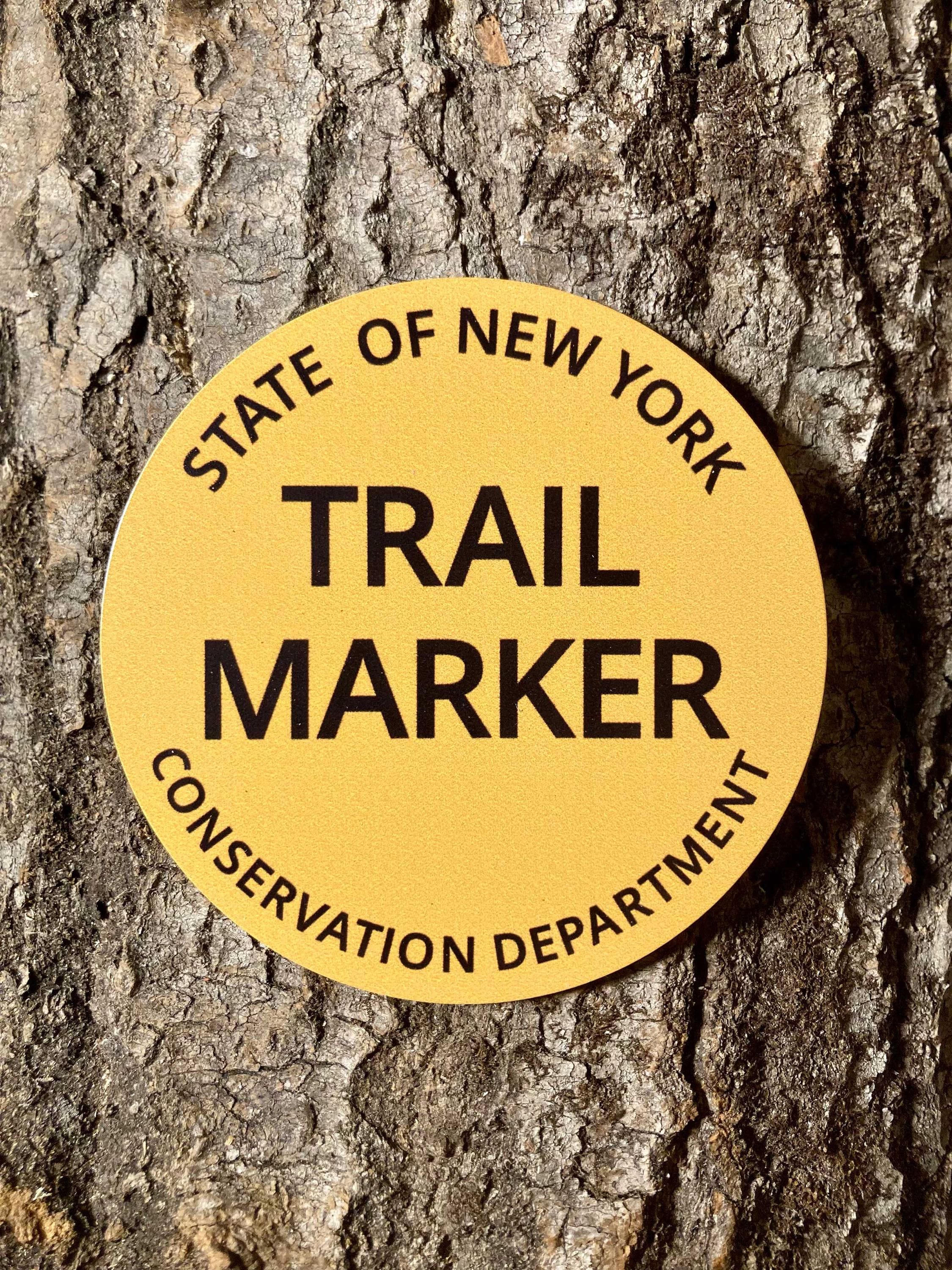Adirondack / Catskill NYDEC Replica Aluminum Hiking Adk 46er Disc ...