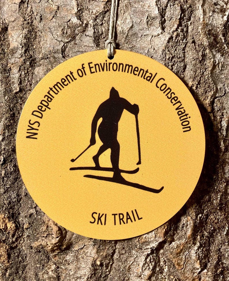 Adirondack / Catskill NYDEC Replica Aluminum Hiking Disc Holiday ...