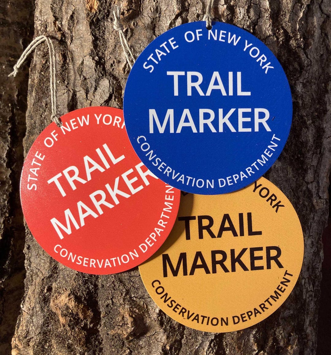 Adirondack / Catskill NYDEC Replica Retro Aluminum Adk 46er Hiking Disc ...