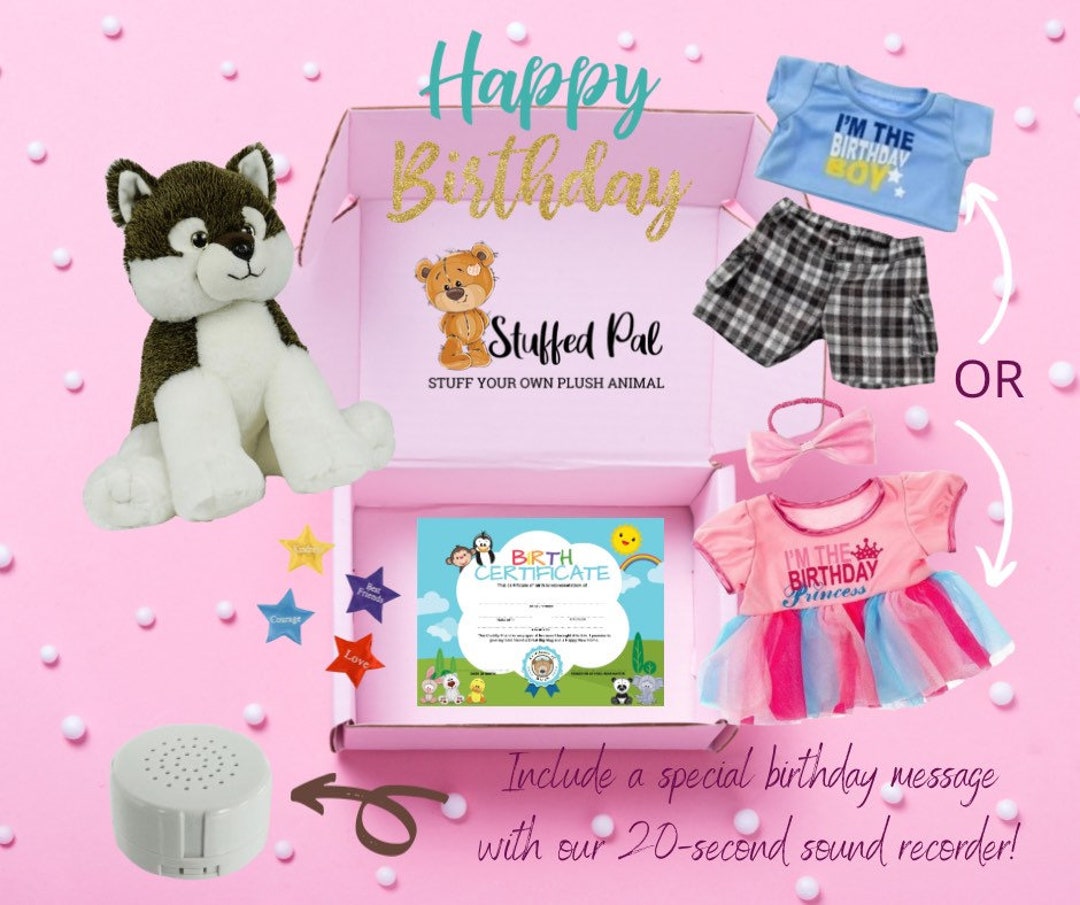 Stuffed Pal Birthday Box - Etsy