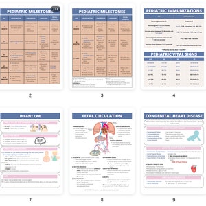 Pediatrics Bundle | Nursing Notes | 30 Pages - Etsy