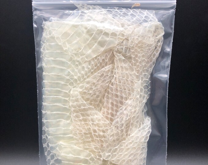 1 Real Western Diamond Back Rattle Snake Animal Skin Hide Leather ...