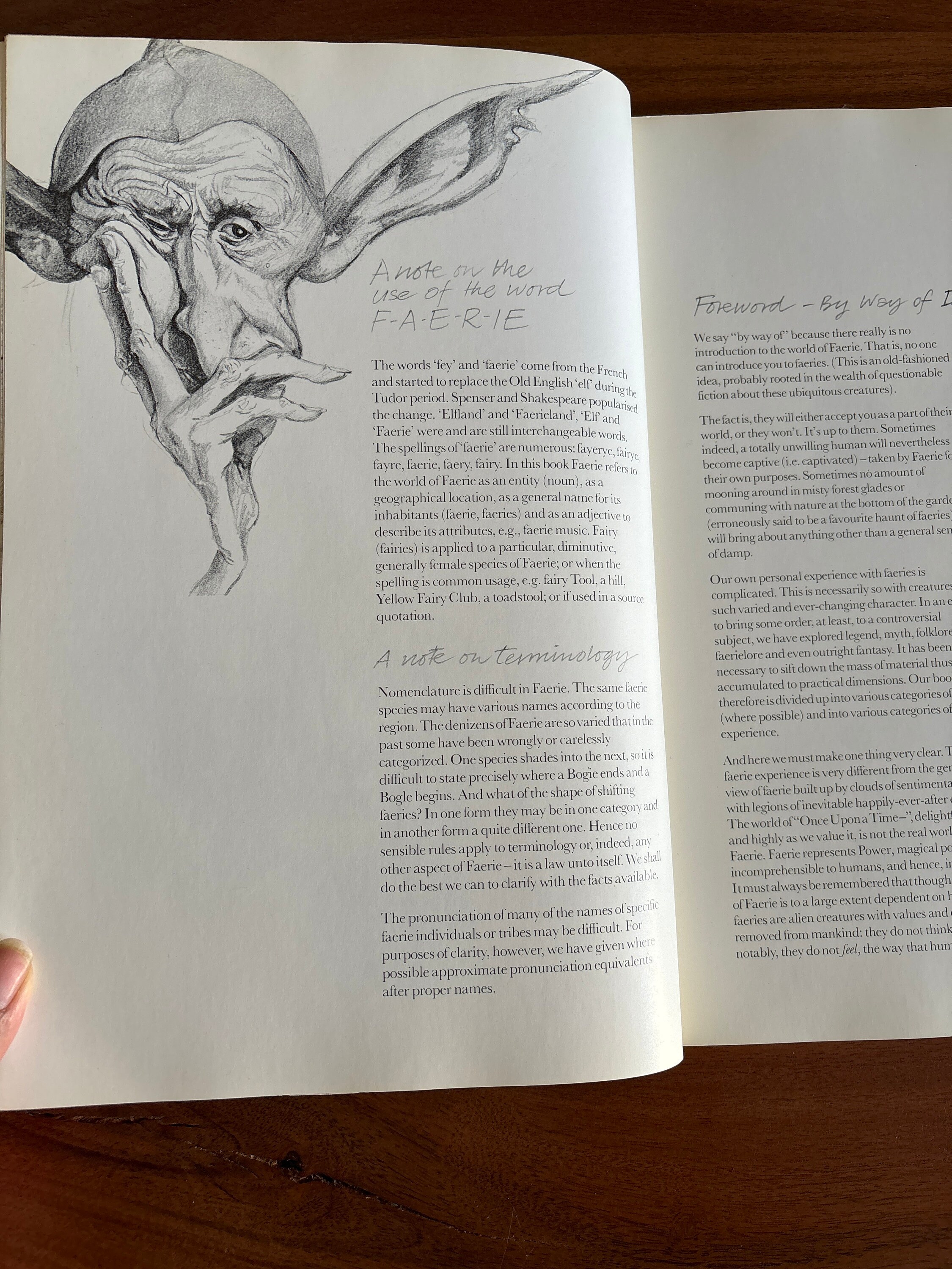 Collectible 1970s Faeries Designed Illustrated by Brian Froud & Alan ...