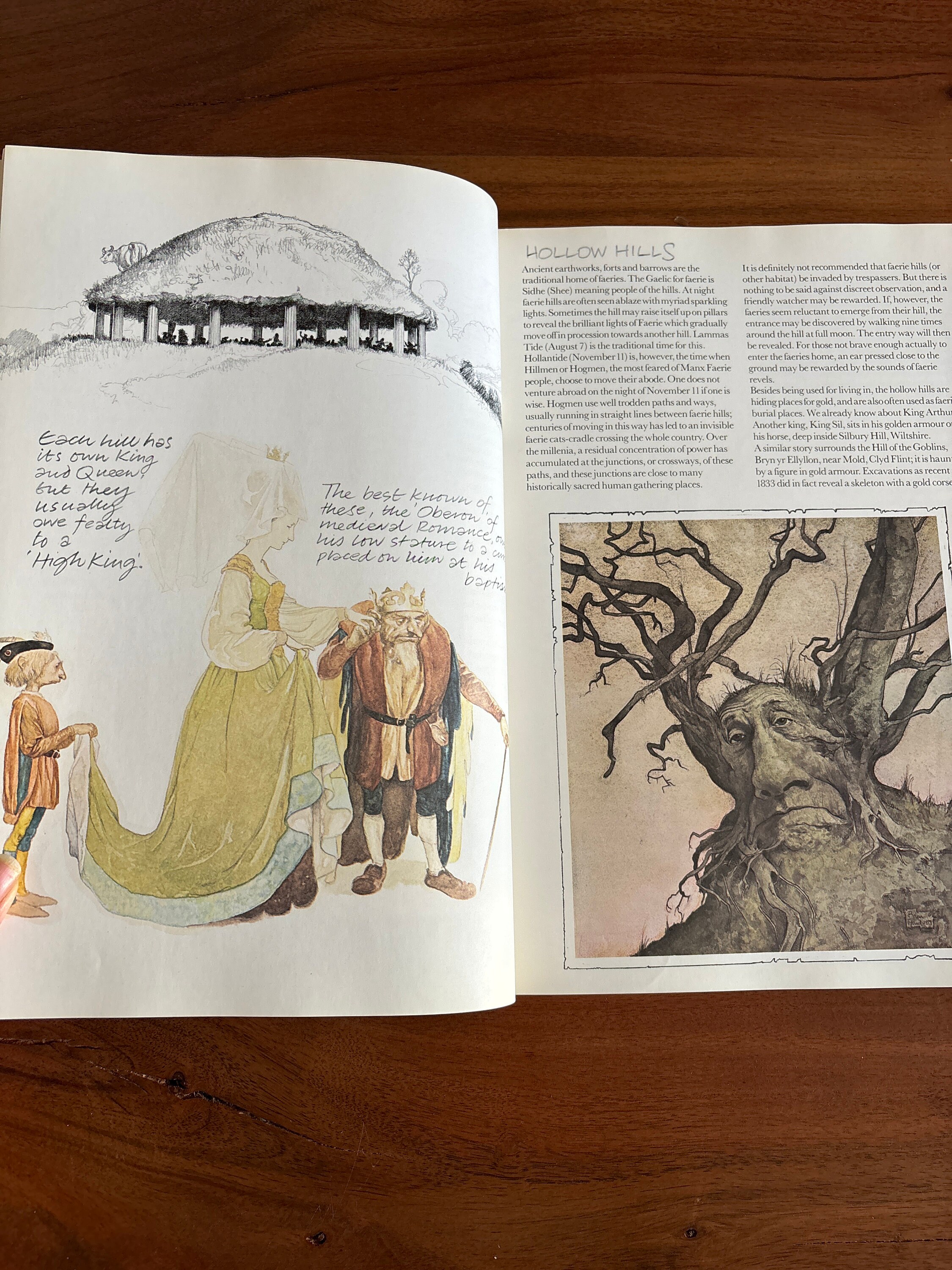 Collectible 1970s Faeries Designed Illustrated by Brian Froud & Alan ...