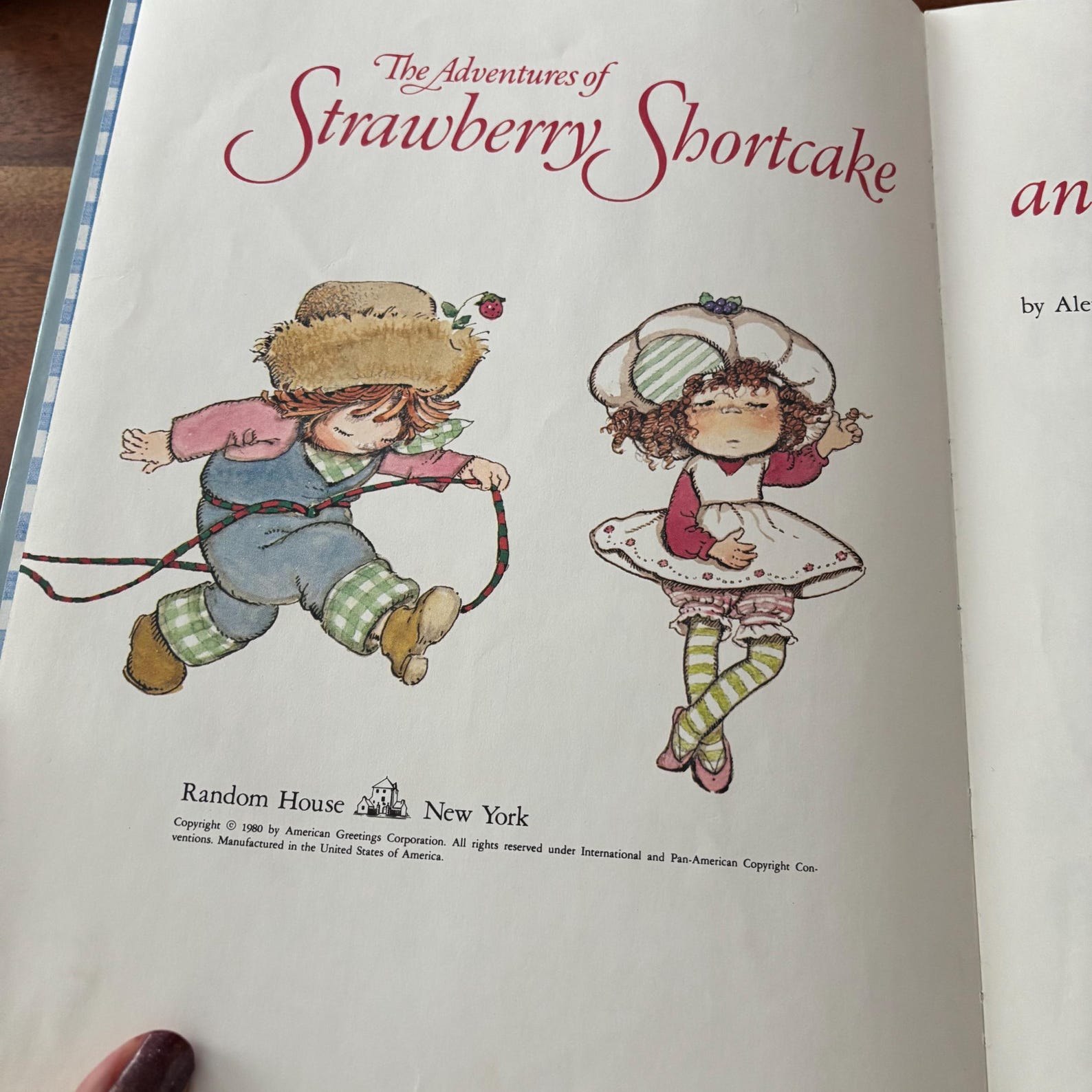 The Adventures of Strawberry Shortcake &her Friends, Collectible ...