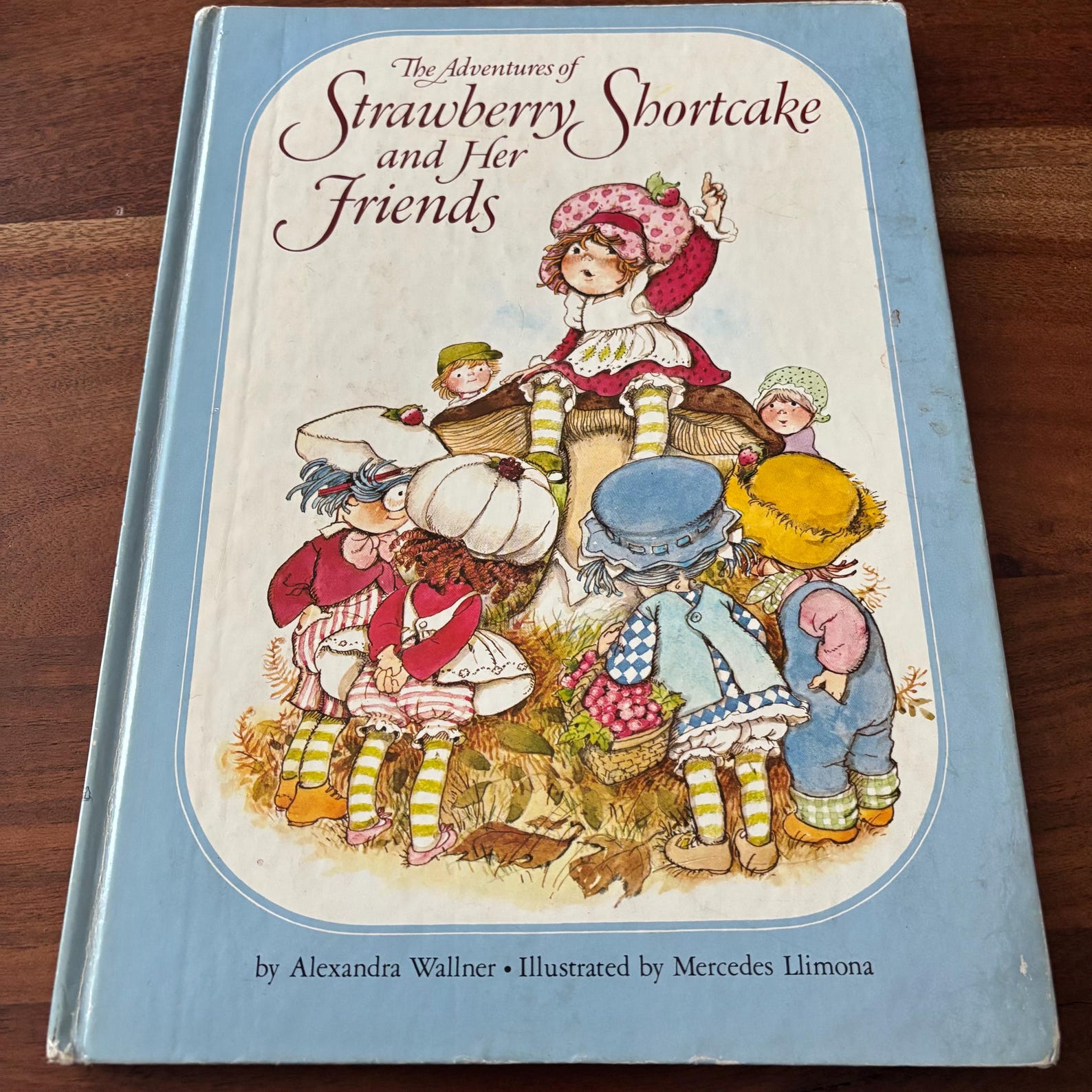 The Adventures of Strawberry Shortcake &her Friends, Collectible ...