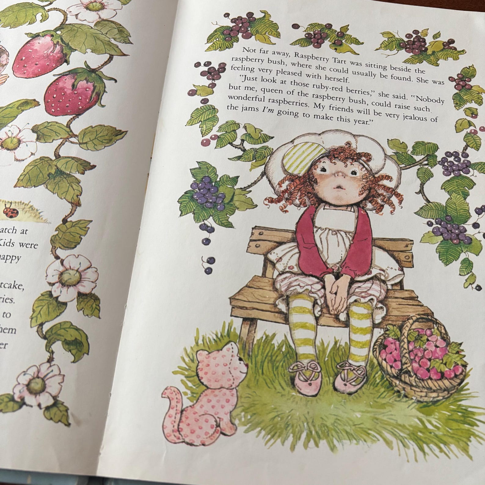 The Adventures of Strawberry Shortcake &her Friends, Collectible ...