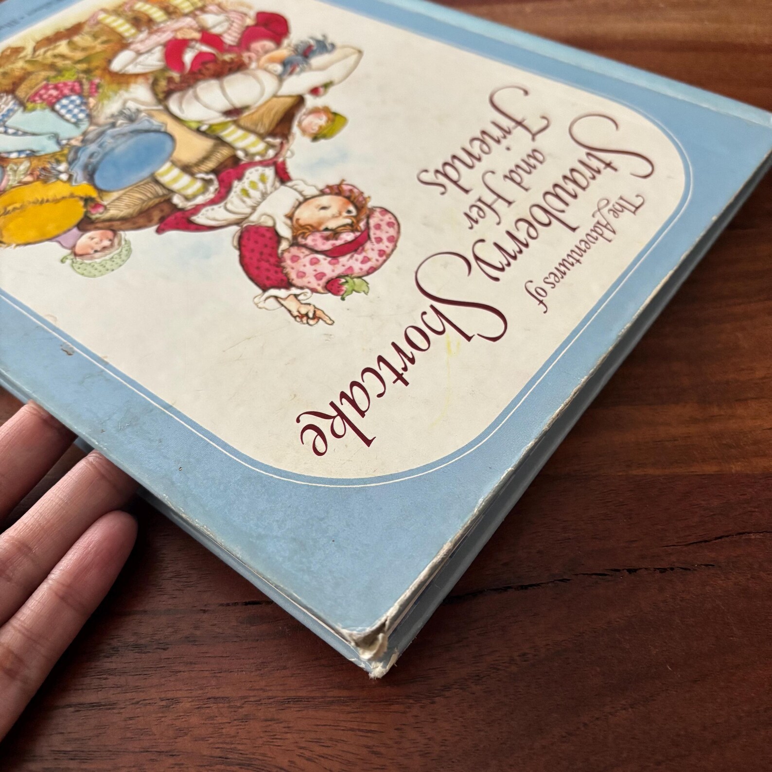 The Adventures of Strawberry Shortcake &her Friends, Collectible ...