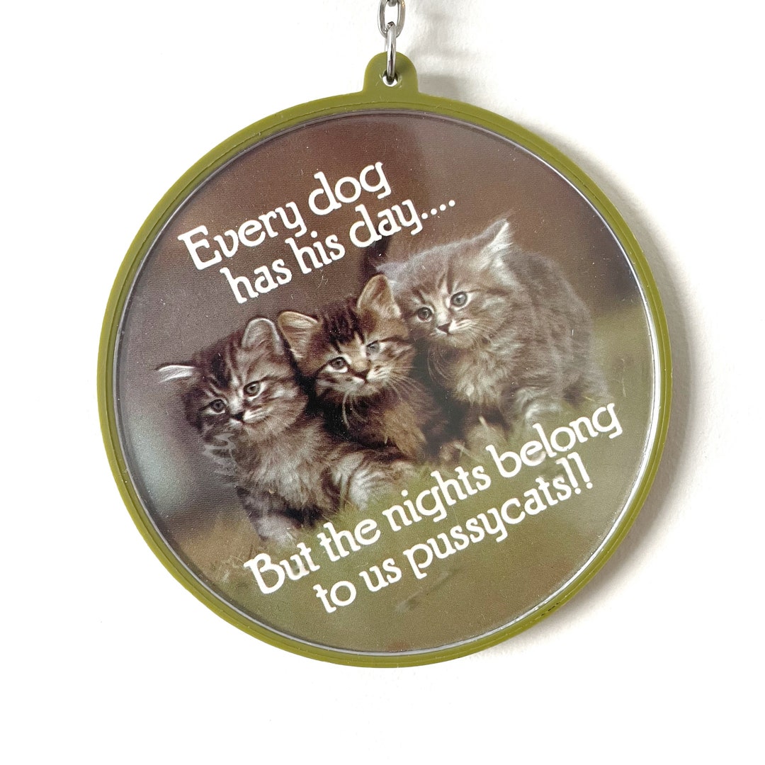 Vintage Hallmark Large Keychain Photo Frame Cats Kittens 80s Keychain ...