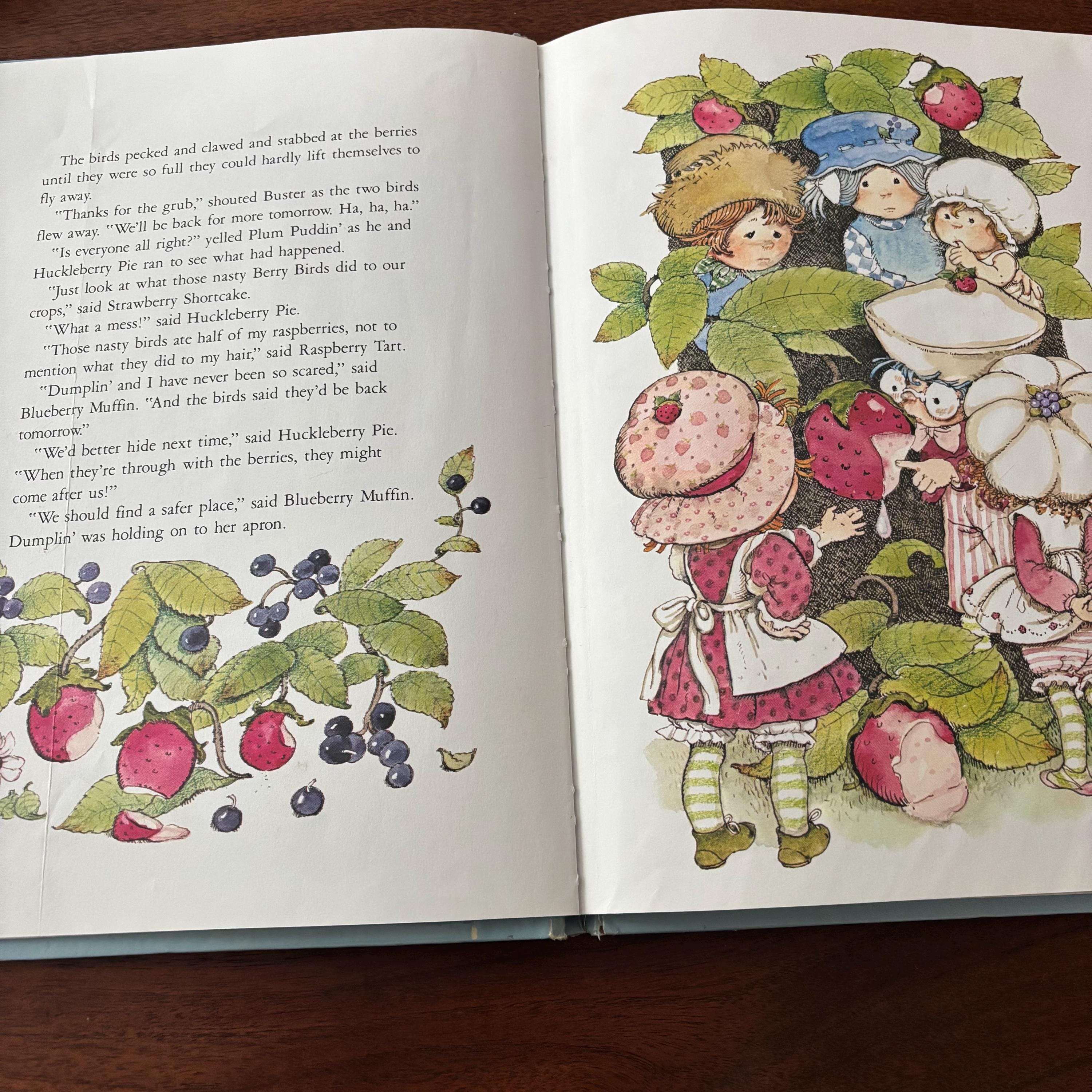 The Adventures of Strawberry Shortcake &her Friends, Collectible ...