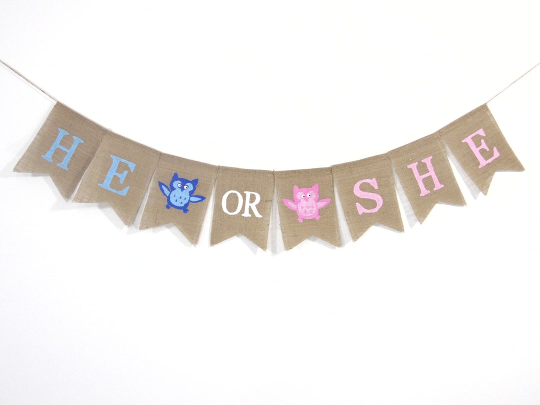 Él o Ella Gender Reveal Banner Él o Ella tema baby shower Él - Etsy España