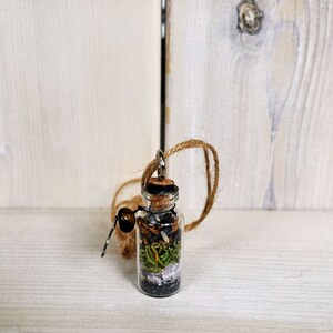 Travel Protection Spell Jar, Spell Bottle for Safe Travels With Tiger's ...