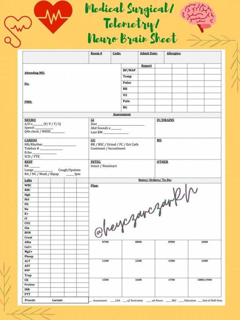 Medical Surgical, Cardiac/telemetry, & Neurological RN Brain Sheet - Etsy