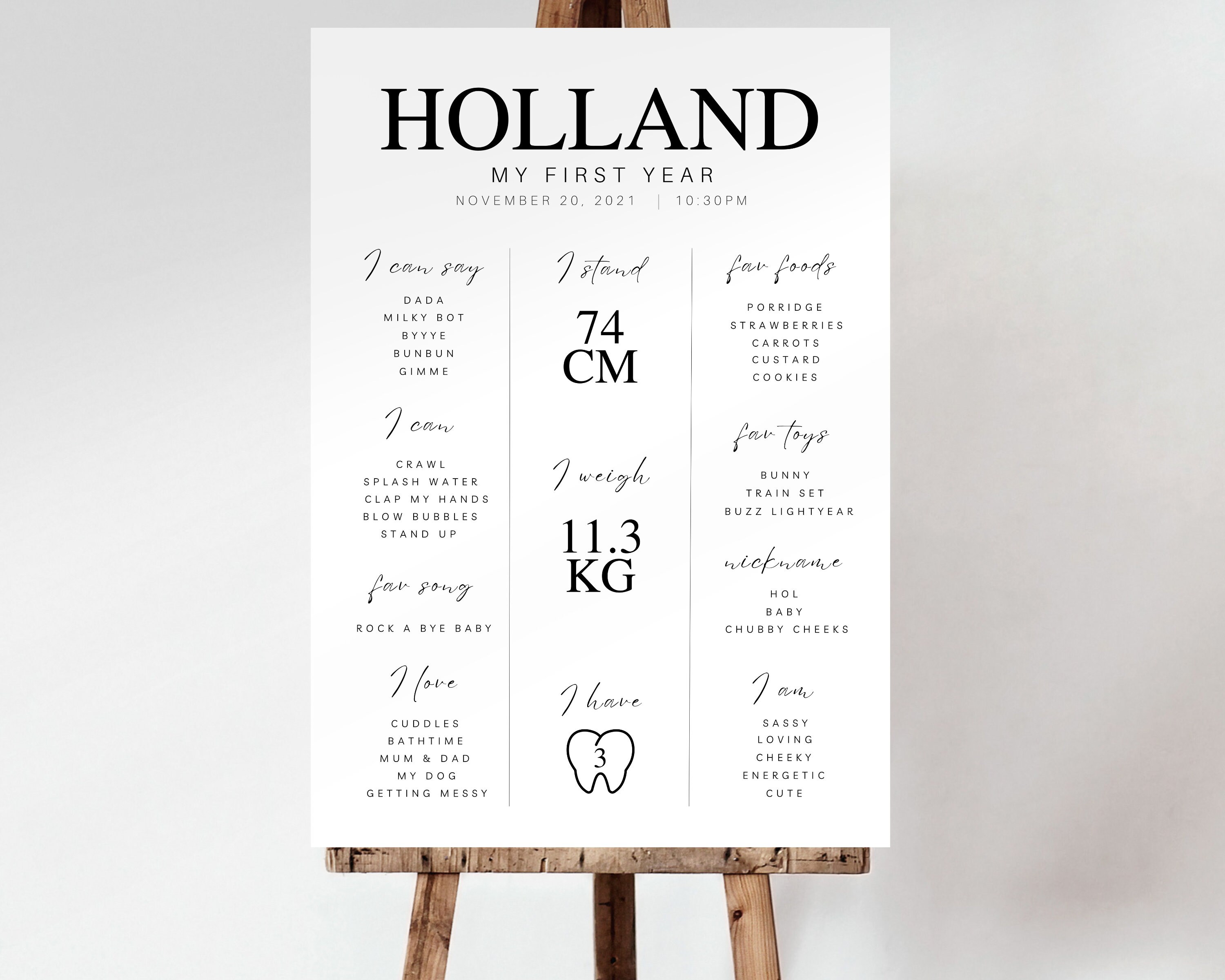 Milestone Birthday Sign Baby's First Year Poster - Etsy