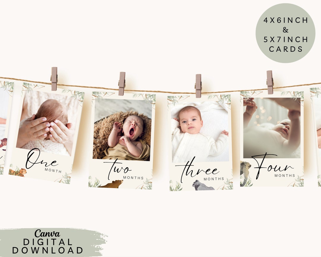 Monthly Milestone Birthday Banner, Printable First Birthday Banner ...