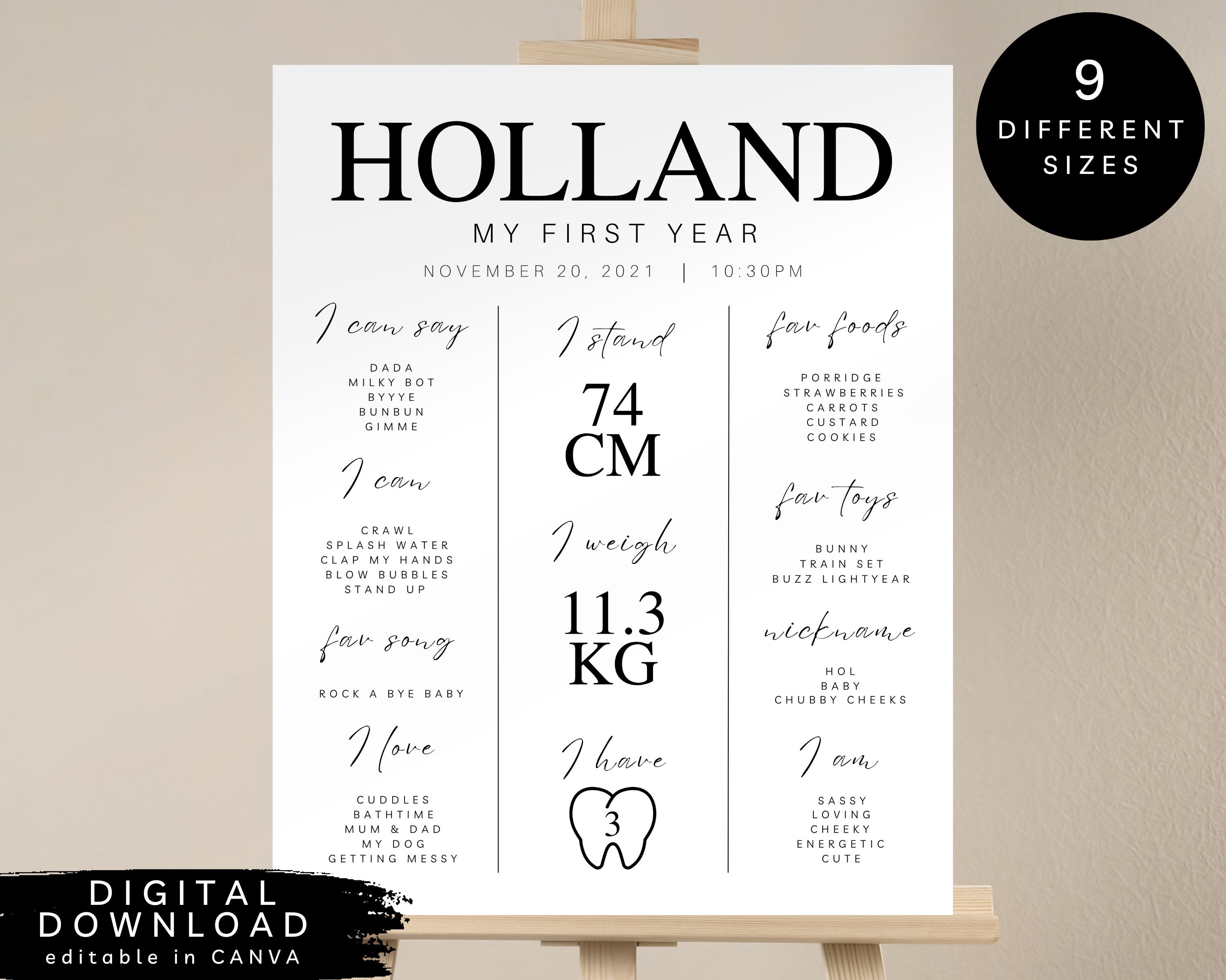 Milestone Birthday Sign Baby's First Year Poster - Etsy