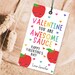 Editable Valentines Applesauce Gift Tag, Friends Valentines Tag ...